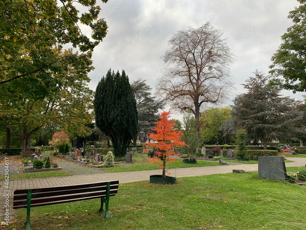 Red tree on a graveyard in autumn Stock Photo | Adobe Stock