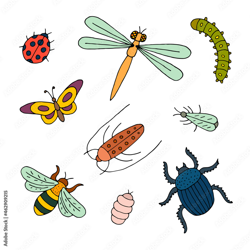 Insect net. Dragonfly. Caterpillar. Butterfly. Bug. Ladybug. Larva ...