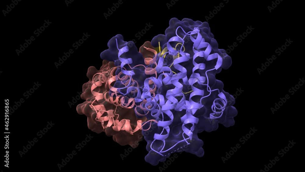 Crystal structure of the retinoblastoma protein (AB domain, pink and ...