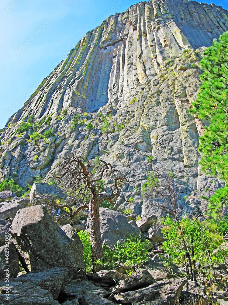 Devils Tower National Monument - Looking up from the base of Devils ...