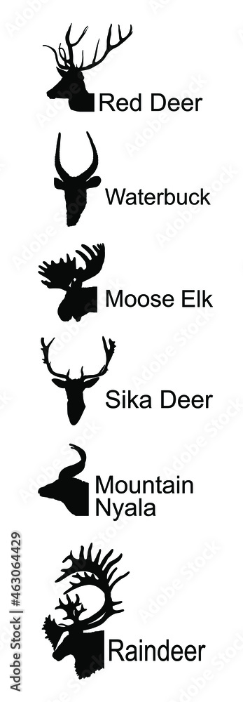 Deer head collection vector silhouette illustration isolated on white ...