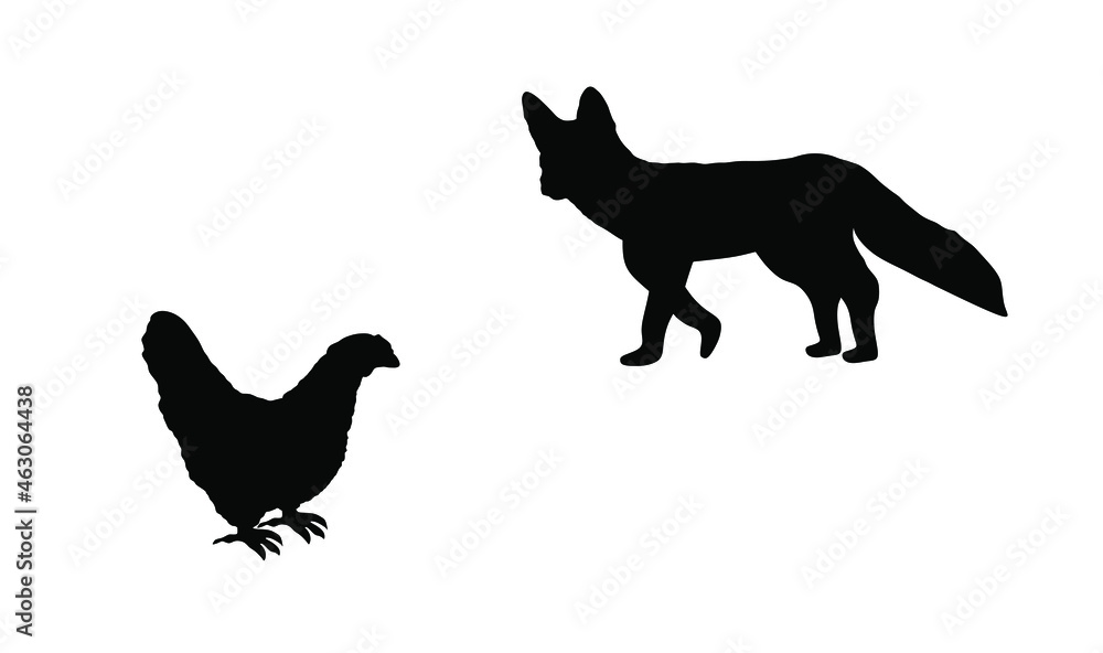 Cunning fox lurks a hen vector silhouette illustration isolated on ...