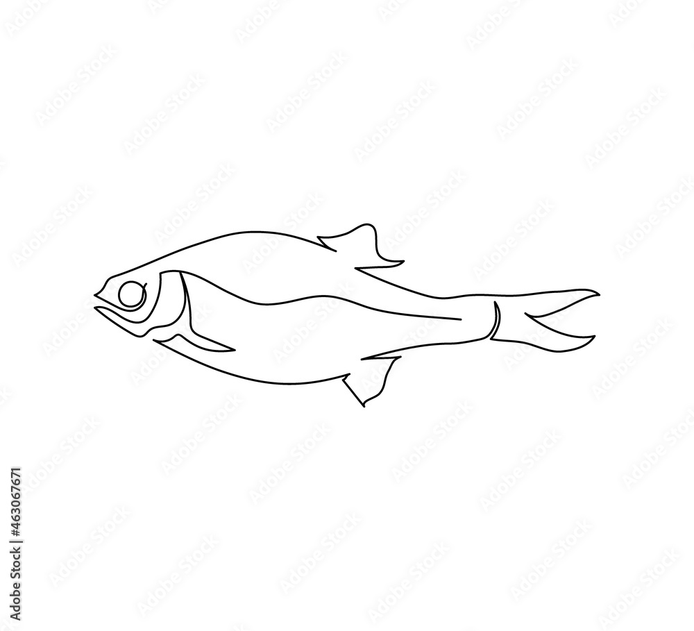Rudd, roach fish, perch continuous line drawing. One line art of ...