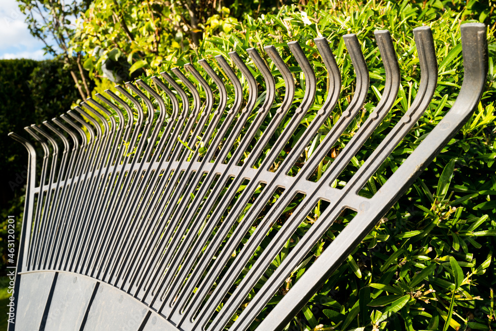 Typical garden rake seen leaned up against a hedge in a private garden ...