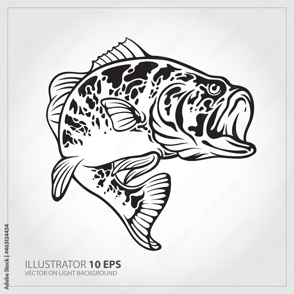 Vector Illustration of a largemouth bass fish jumping in white ...