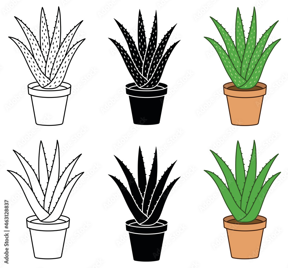 Aloe plant in a pot clipart set - Outline, Silhouette and Colored Stock ...