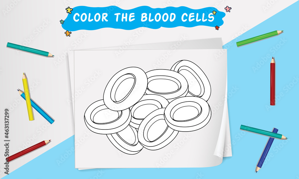 Color The Blood Cells - Human Internal Anatomy Coloring Page Stock ...