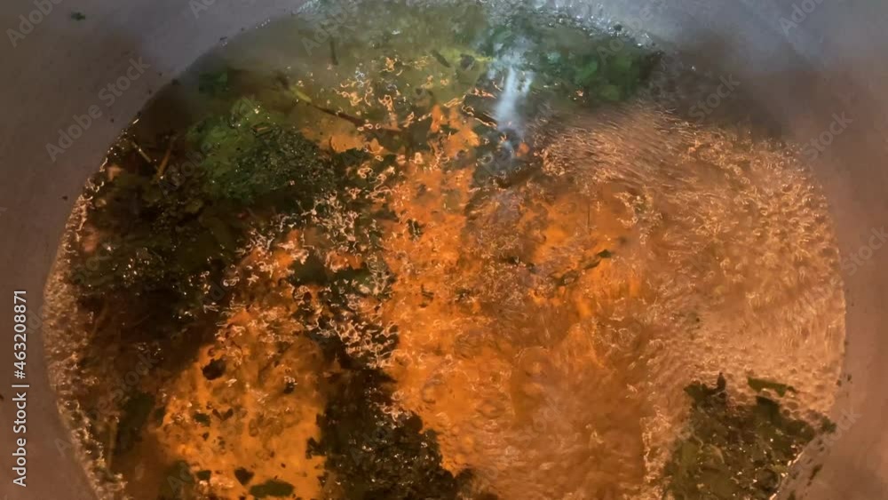 Kratom Tea - Boiling kratom leaves. Mitragyna speciosa or Kratom ...