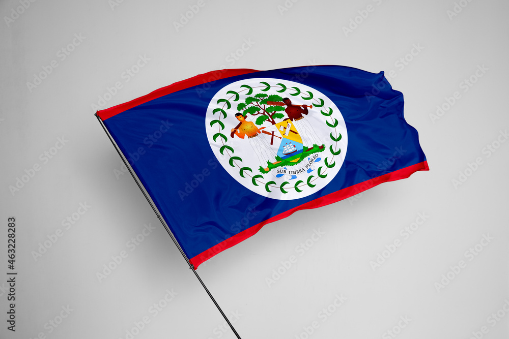 Belize flag isolated on white background. close up waving flag of ...