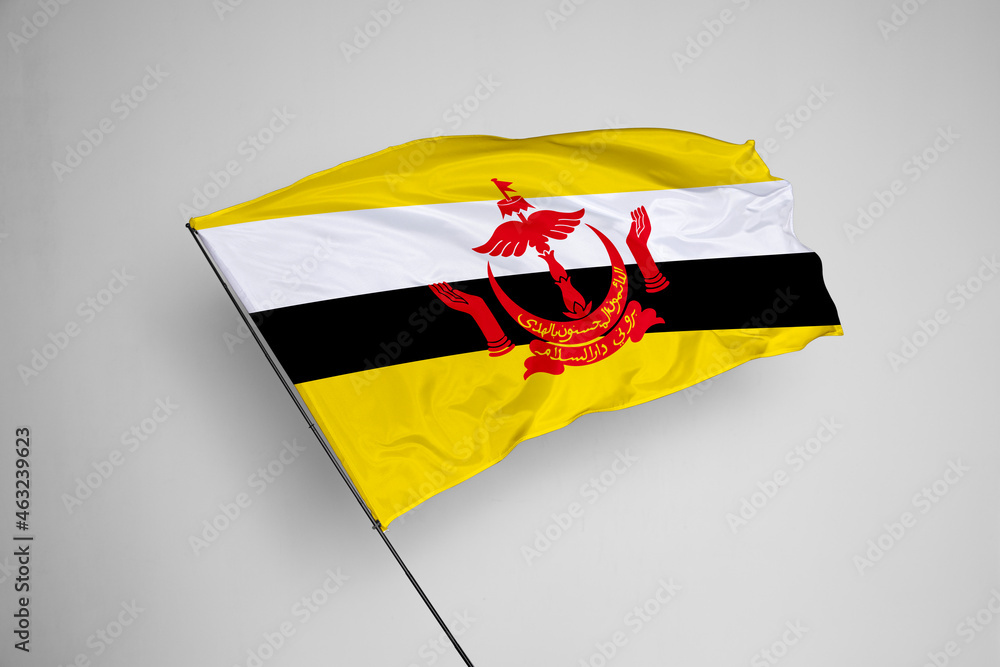Brunei flag isolated on white background. close up waving flag of ...
