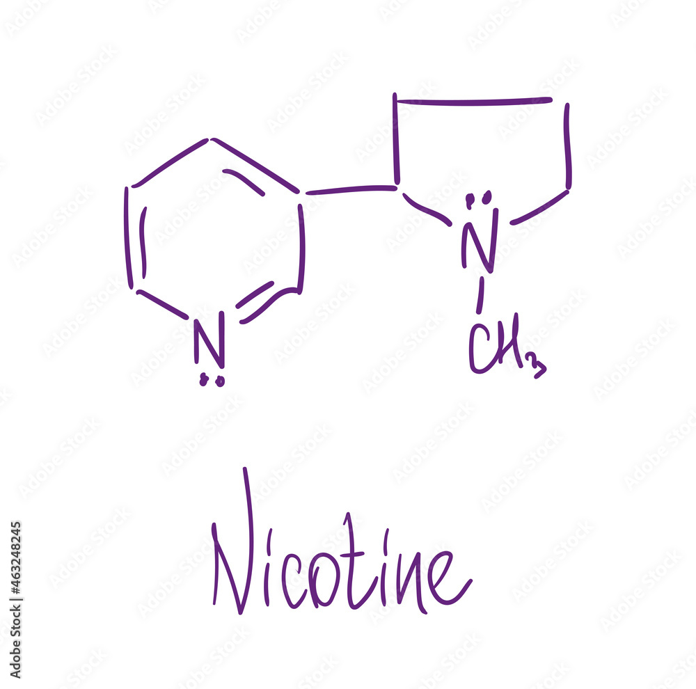 Nicotine chemical structure. Vector illustration Hand drawn Stock ...