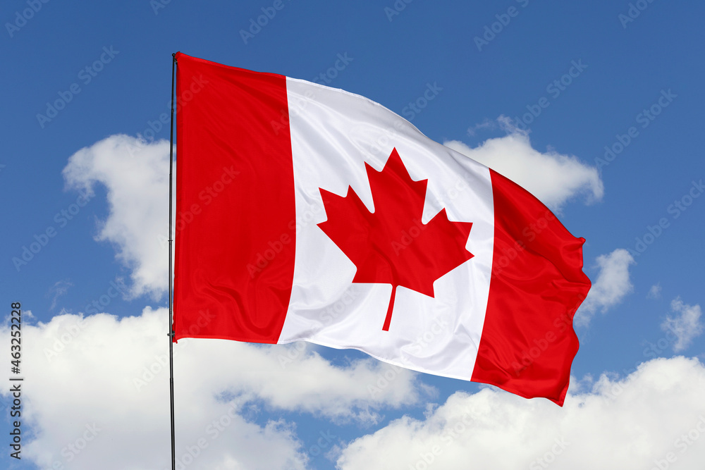 Canada flag isolated on the blue sky background. close up waving flag ...
