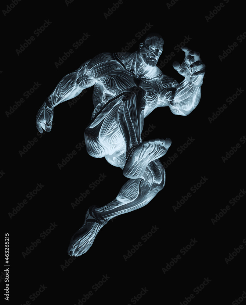 bodybuilder muscle maps is jumping in white background Stock ...