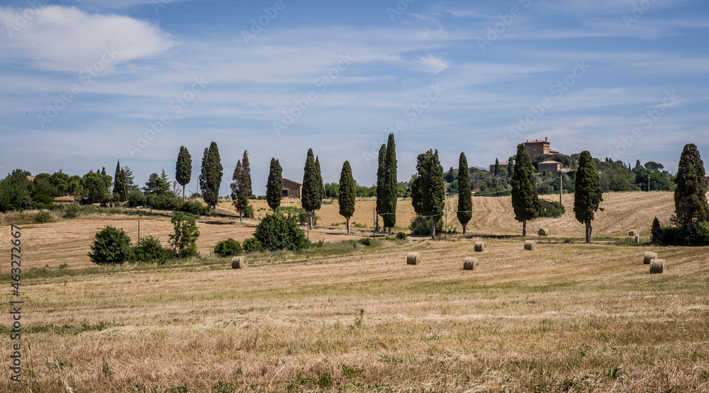 TUSCANY-JUNE 2: Hay bales and cypress trees of Orcia Valley,Tuscany ...