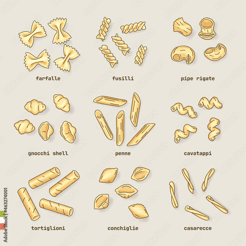 Pasta types with names. Different kinds of pasta isolated on white ...