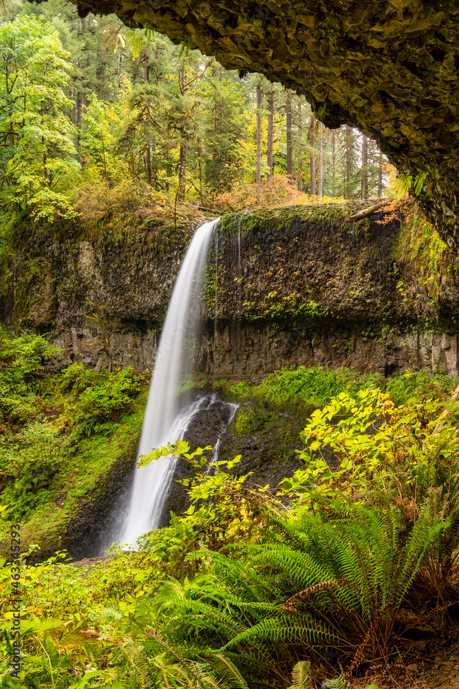 Fall Color in Oregon Forest at Silver Falls State Park Waterfall Stock ...