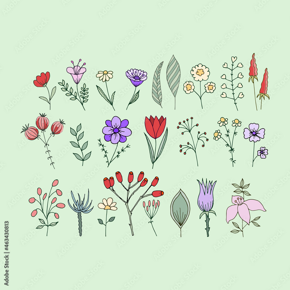 Hand-draw vector illustration. Set with different flowers elements for ...