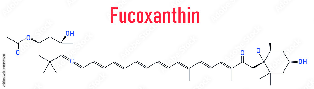 Fucoxanthin brown algae pigment molecule. Ingredient of some dietary ...