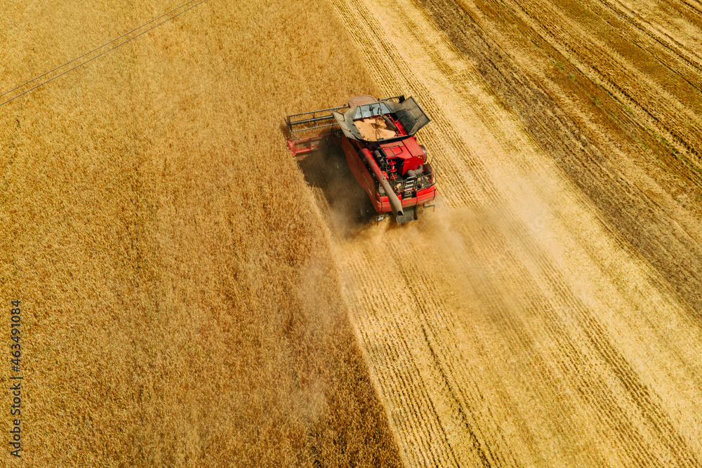 top view aerial view of grain harvester gathering crop of wheat at ...