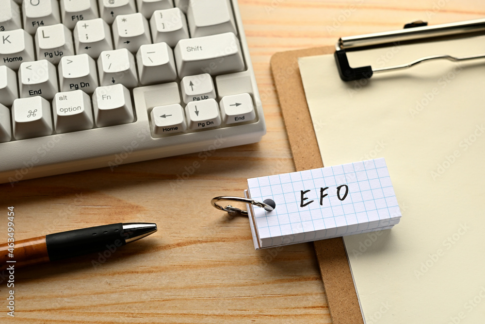 There is a word book with the word of EFO which is an abbreviation for ...