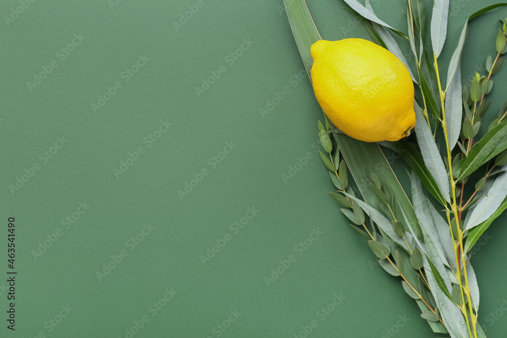 Sukkot festival symbols on color background Stock Photo | Adobe Stock