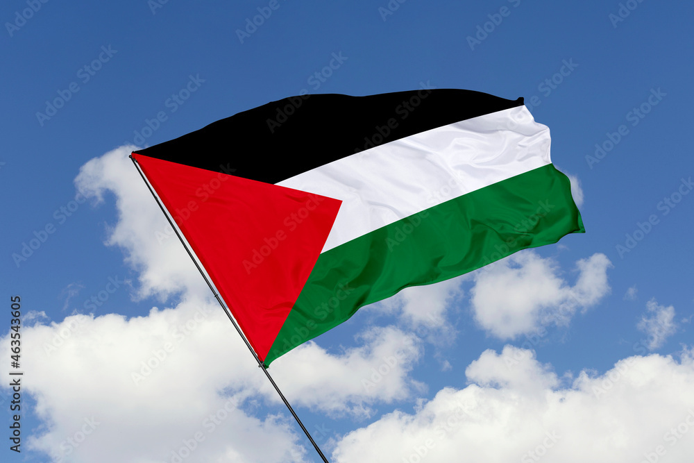 Palestine flag isolated on the blue sky background. close up waving ...