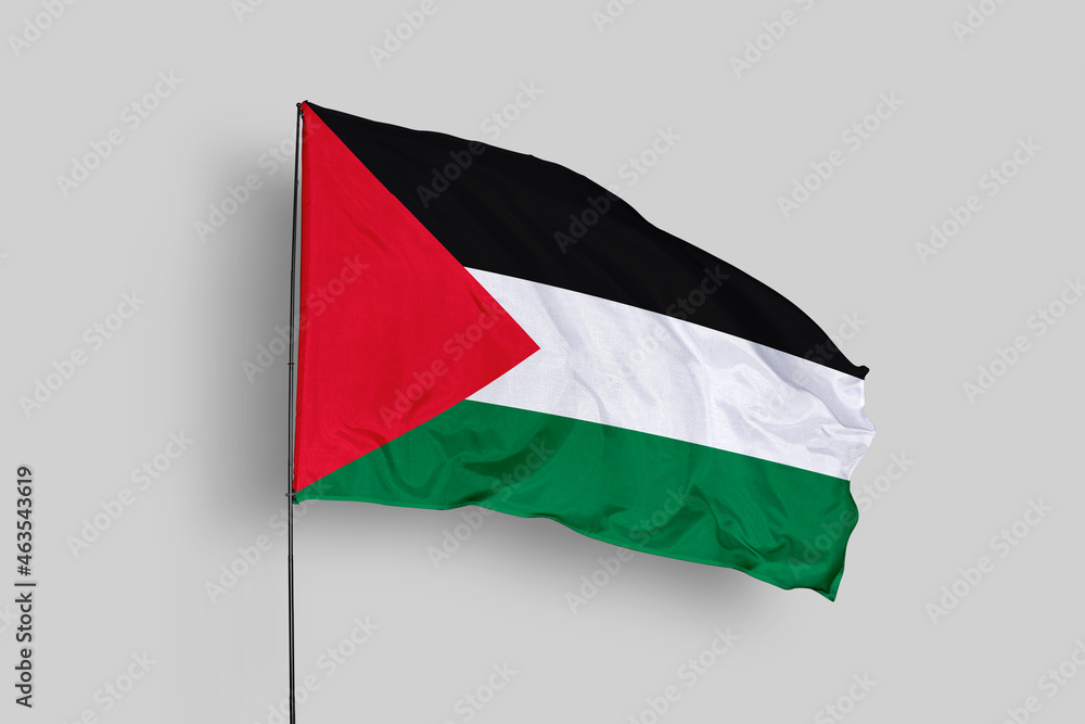 Palestine flag isolated on the blue sky background. close up waving ...