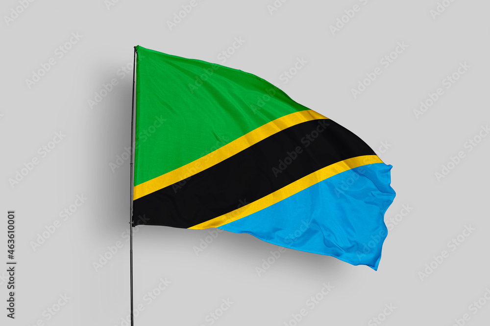 Tanzania flag isolated on the blue sky background. close up waving flag ...