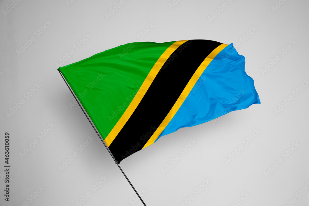 Tanzania flag isolated on white background. close up waving flag of ...