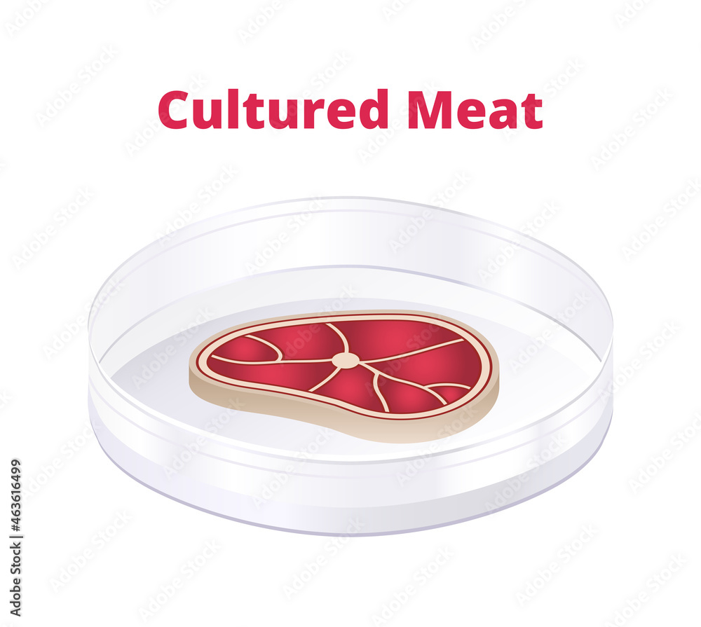 Vector illustration of cultured meat, lab-grown meat, cell-based meat ...