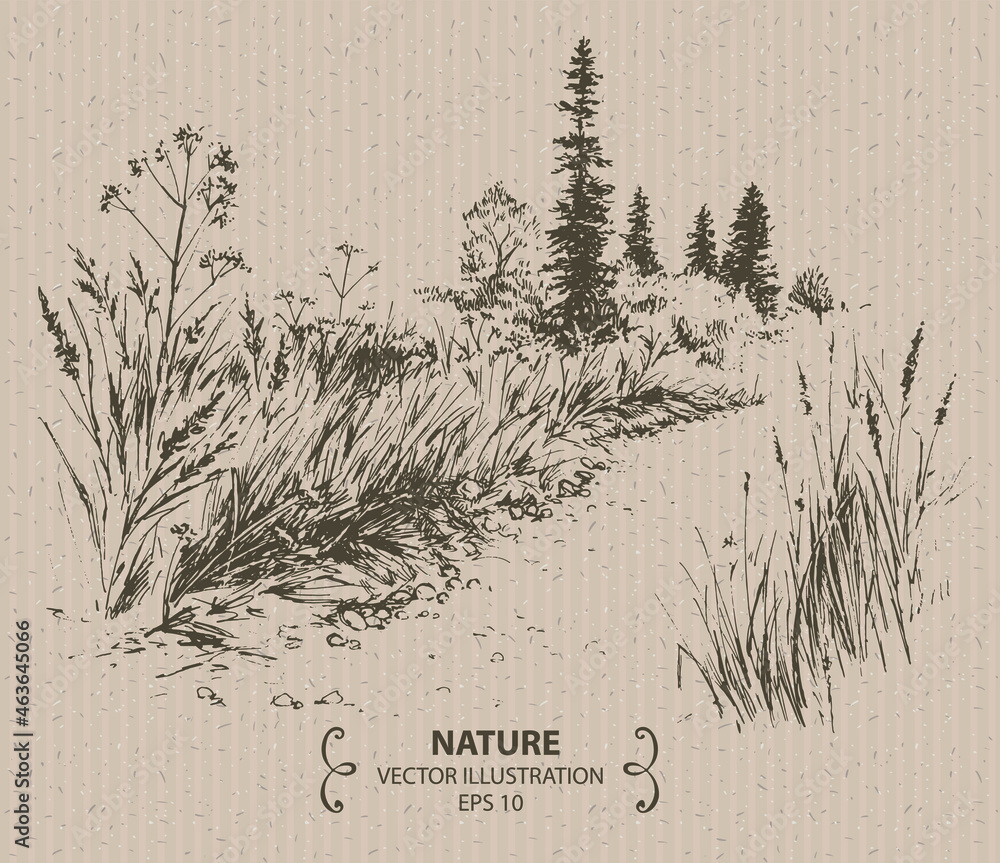 Trail in the Forest. Landscape. Hand drawn vector illustration. Stock ...