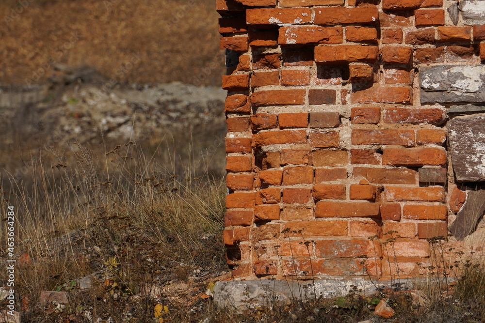 An old, abandoned, crumbling house. In the last century it was the home ...
