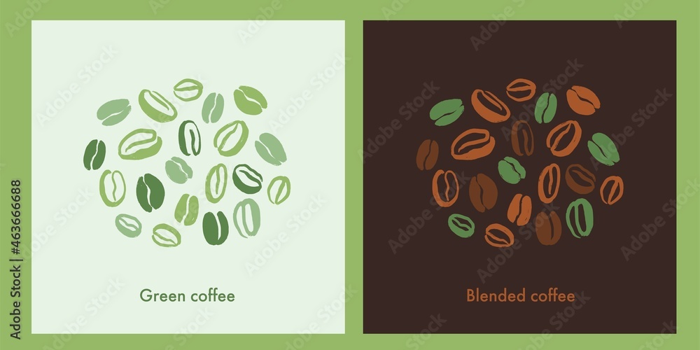 Coffee beans of varying degrees of roast and green coffee. Vector hand ...