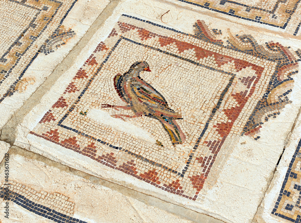 Mosaic in the House of the Birds of Italica, Roman city near Santiponce ...