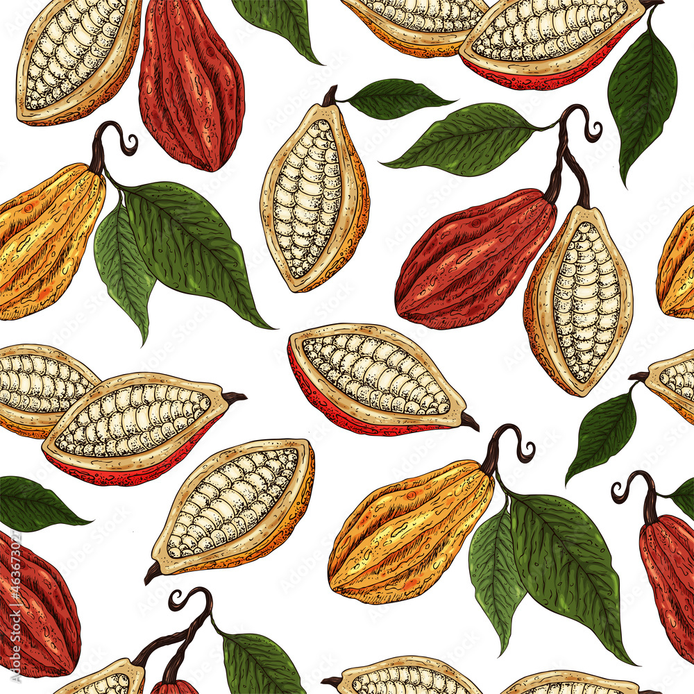 Cocoa pattern. Organic healthy food background. Cocoa beans print. Hand ...