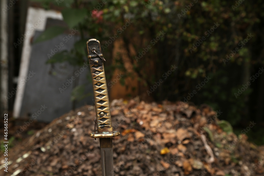 The hilt of vintage katana sword Stock Photo | Adobe Stock