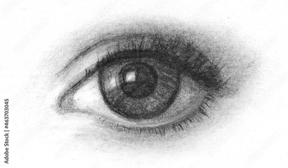 Realistic handdrawn sketch of beautiful woman eye Stock Photo | Adobe Stock