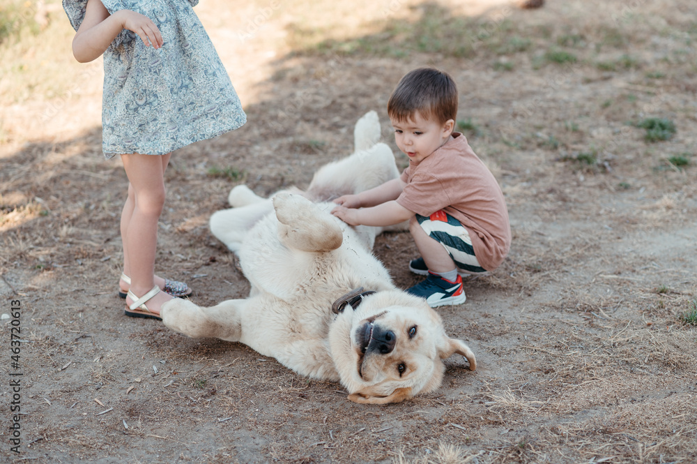 Children playing with dog. Stock Photo | Adobe Stock