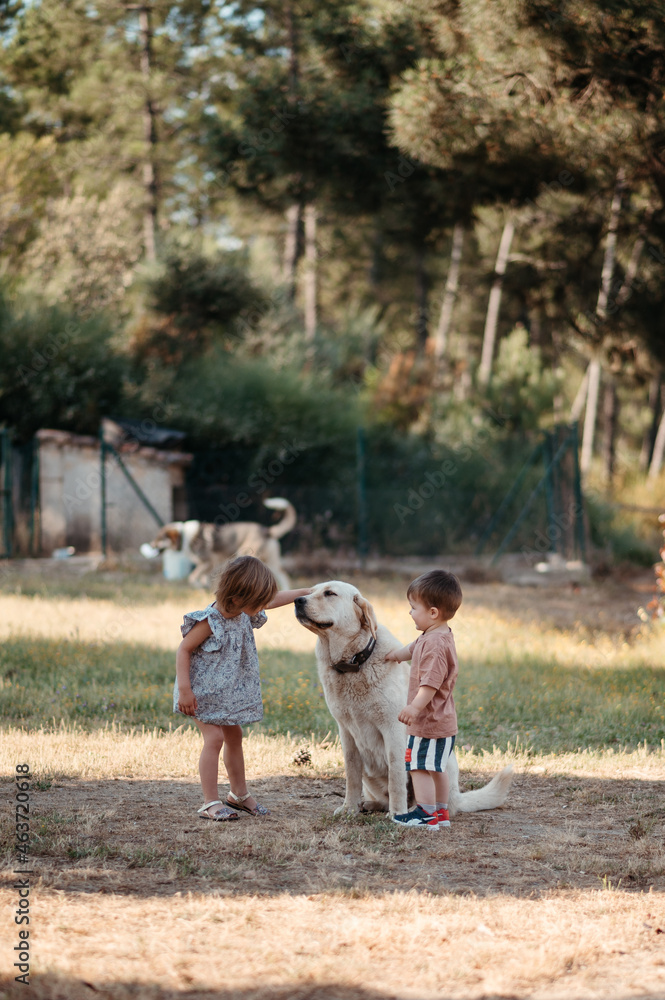 Children with dog in backyard. Stock Photo | Adobe Stock