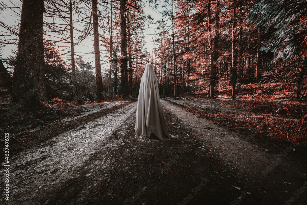 Ghost in the middle of the forest Stock Photo | Adobe Stock