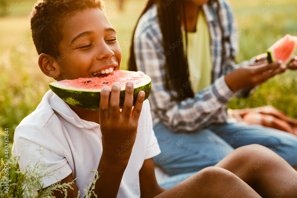 Black family eating watermelon during picnic on summer field Stock ...