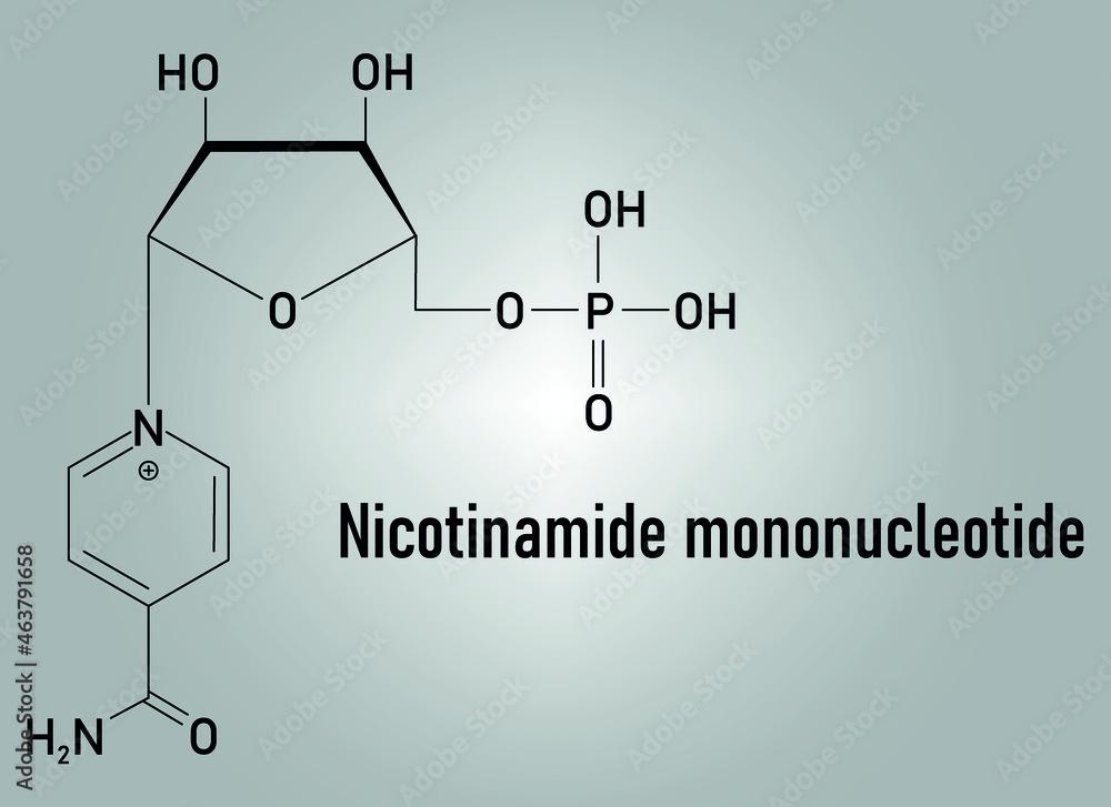 Nicotinamide mononucleotide molecule. Precursor of NAD+. Skeletal ...