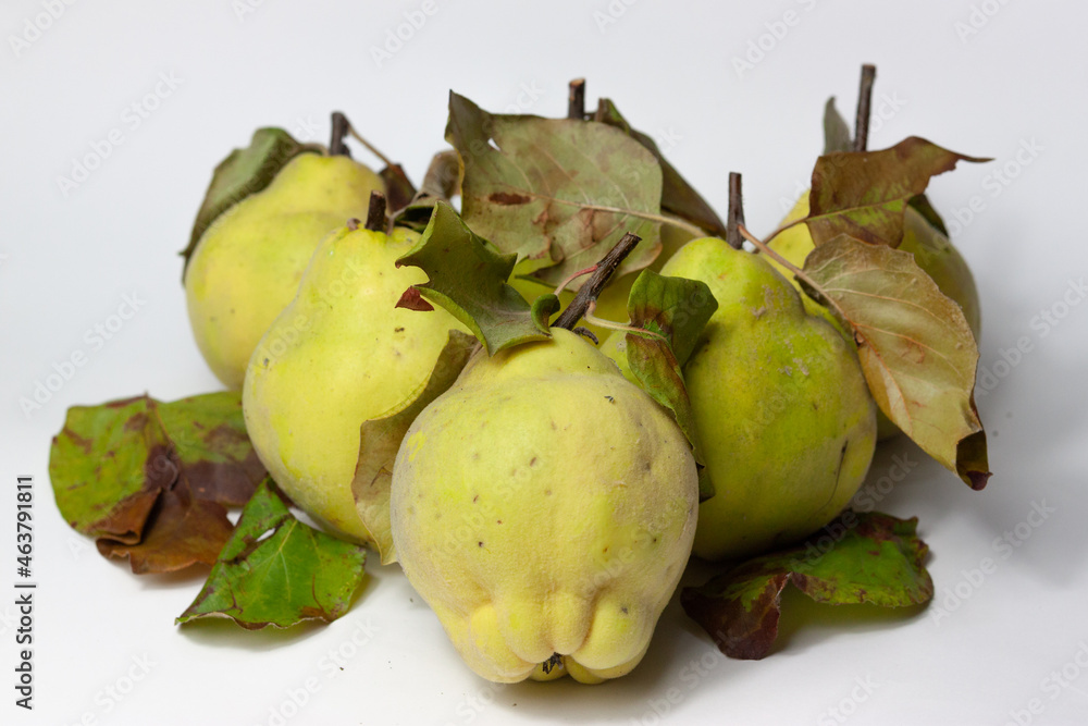 Membrillo fruto natural sobre fondo blanco, concepto comida tradicional ...