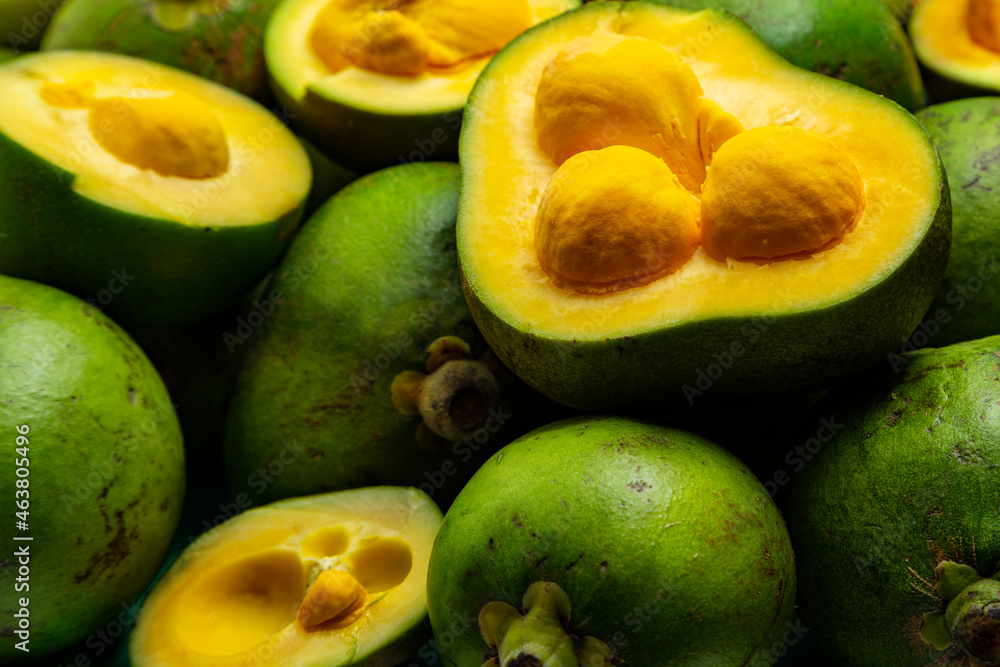 Alguns frutos maduros de pequi. Pequi, fruta do cerrado brasileiro ...