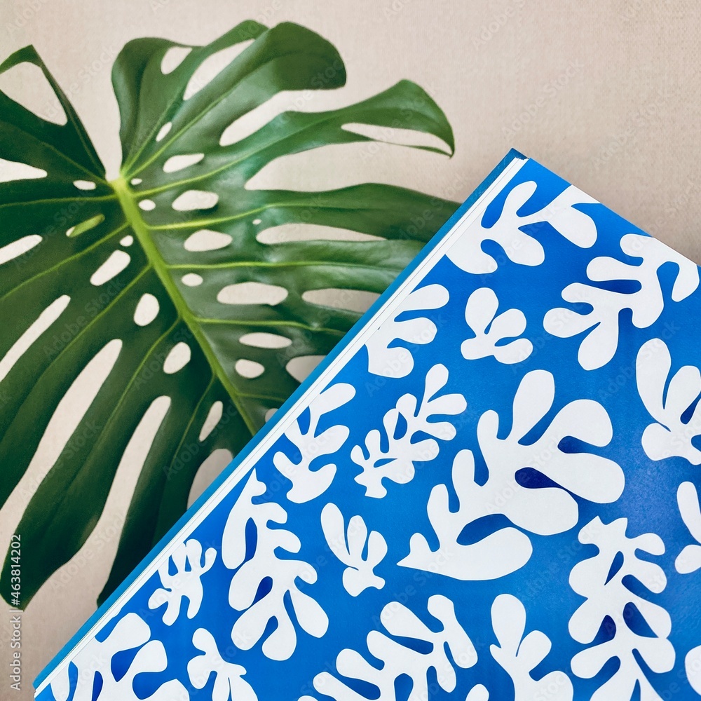 Henri Matisse monstera Stock Photo | Adobe Stock