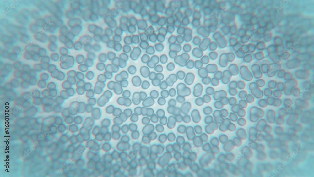 Video Stock Cell colony under microscope view. Dynamic microbiology ...