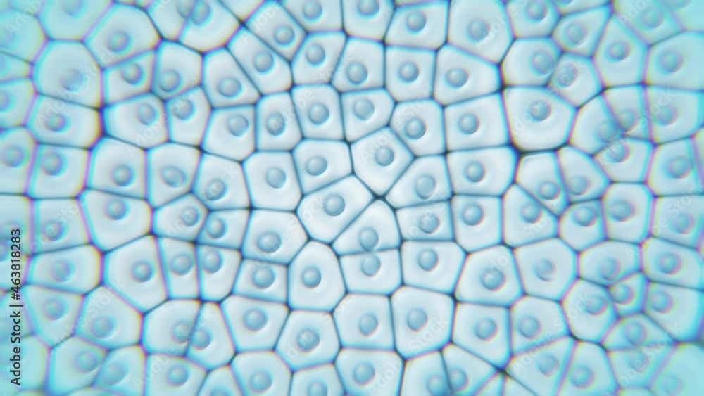 Cell colony under microscope view. Dynamic microbiology concept ...