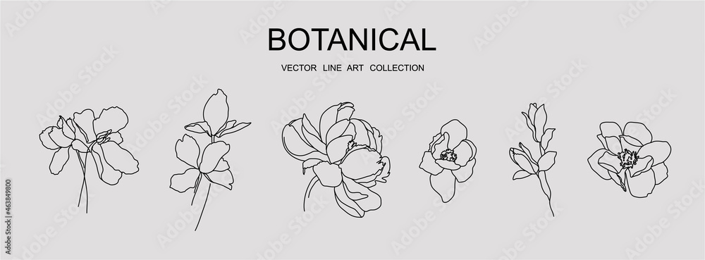 Botanical vector line art collection minimal botanical graphic sketch ...