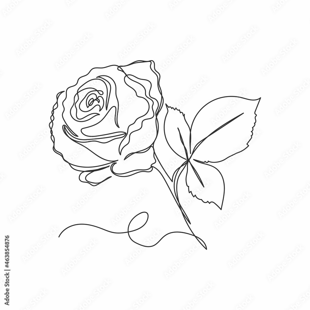 Vector continuous one single line drawing of rose flower in silhouette ...