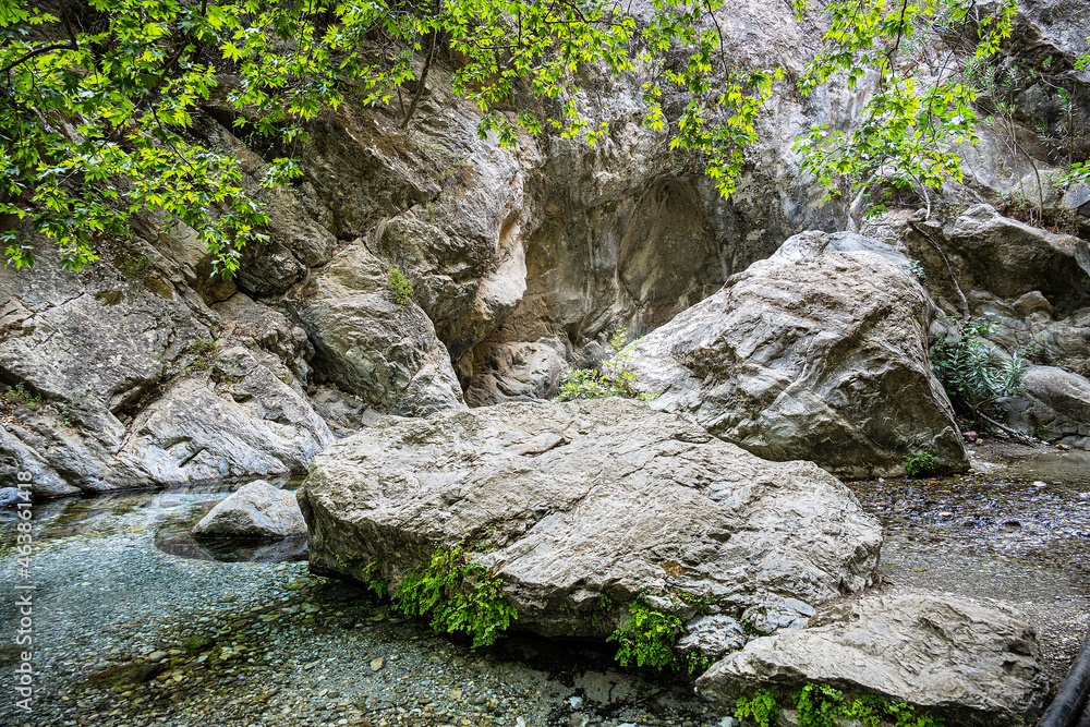 Bach im Tal unterhalb von Tripi, Knakiona, bei Sparta, Peloponnes ...